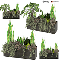 Plant - 3D Models Collection