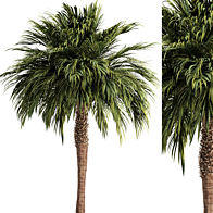 animated palm tree - Tree - 3D model