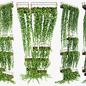 Planter box ivy 2 - Фитостены - 3D модель