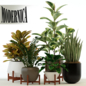 Plants collection 75 Modernica pots - Indoor - 3D model