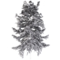 Larix kaempferi - Tree - 3D model