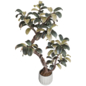 Bonsai Jungle Ficus Elastica Rubber Tree Set 260 - Indoor - 3D model