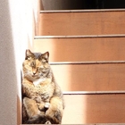 akuroi - Галерея 3D работ на 3ddd.ru - 3D модели для скачивания на 3ddd.ru