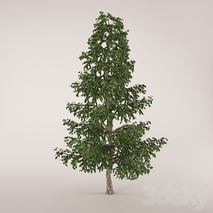 Tree - Tree - 3D model