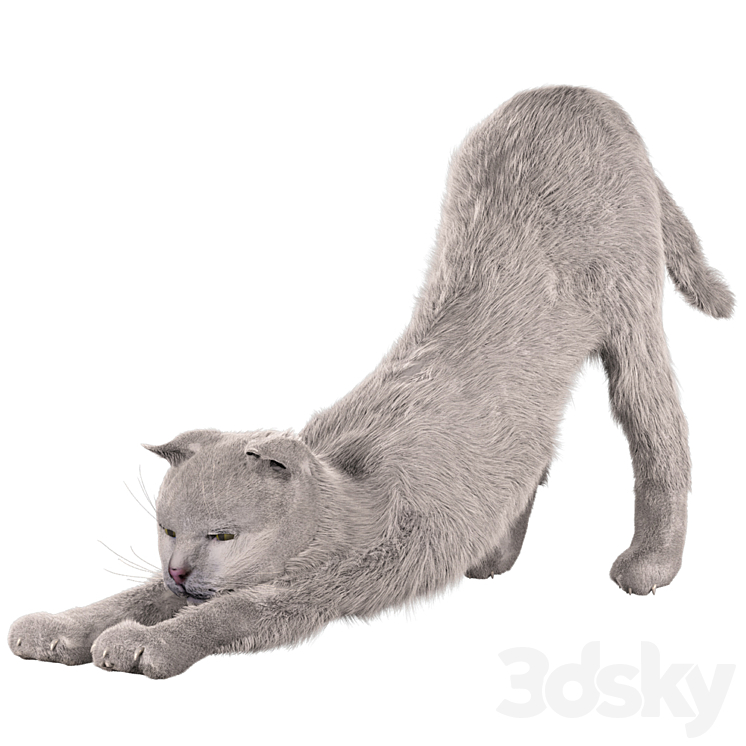 Cat Martin - Creature - 3D model