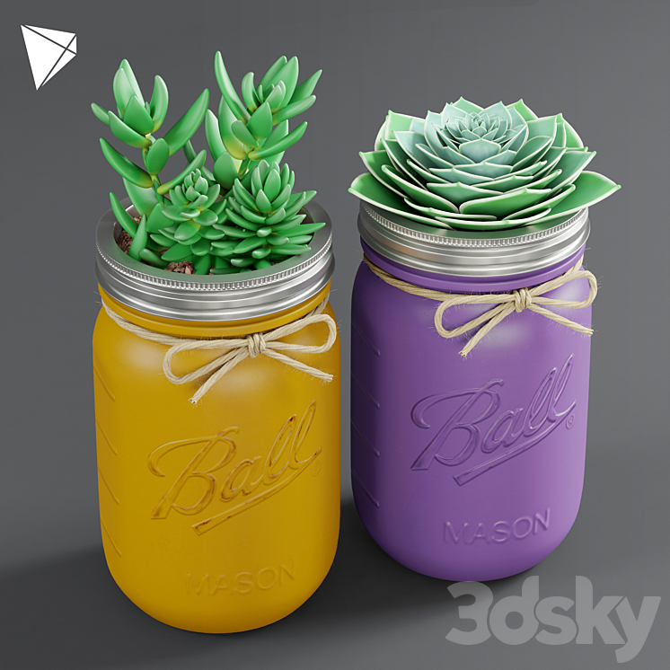 [3DSKY] Pot Ball Mason Jar Succulent 3D Model | NEW UPDATE 2023