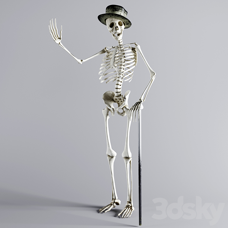 skeleton - Miscellaneous - 3D model