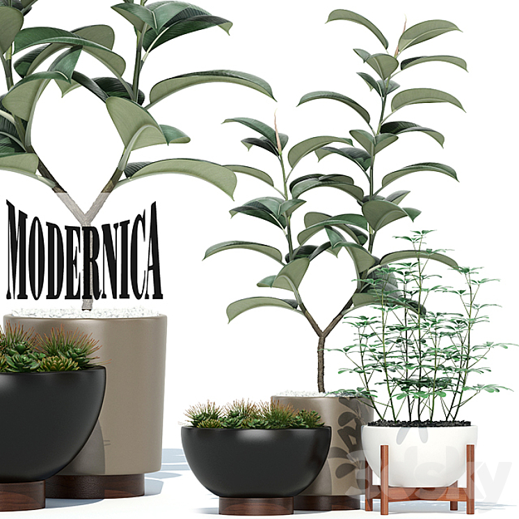 Plants collection 73 Modernica pots - Indoor - 3D model