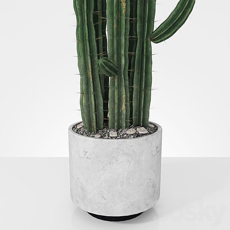 Plant 6.2 3D Model - 3DSKY Decor Helper