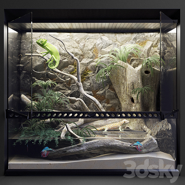 Terrarium - Other decorative objects - 3D model