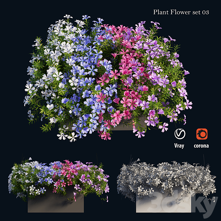 [3DSKY] Plant Flower Set 03 3D Model | NEW UPDATE 2023