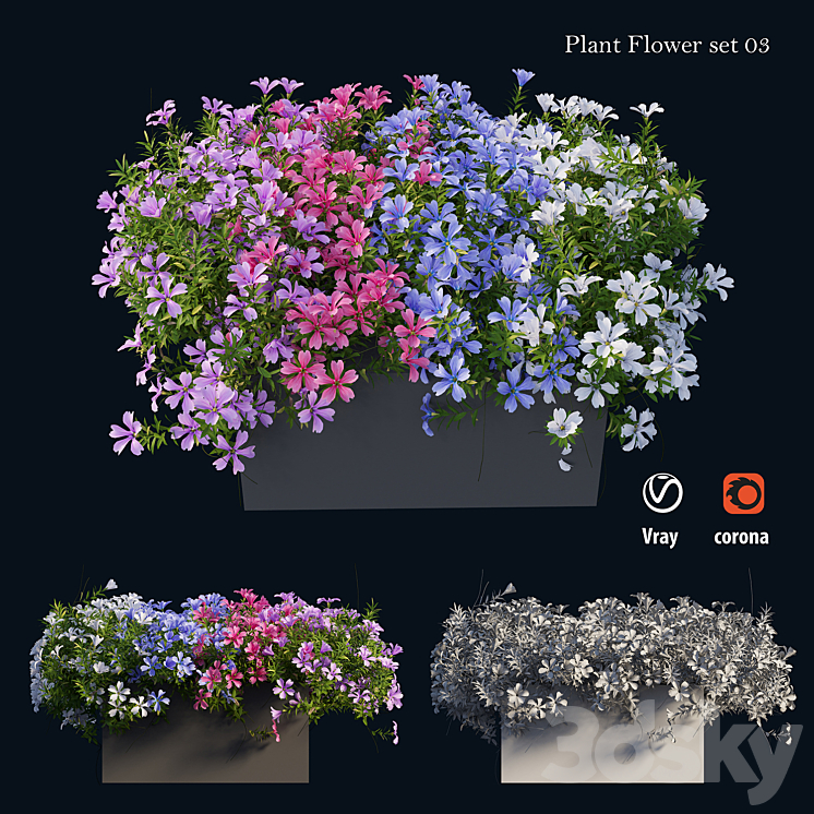 [3DSKY] Plant Flower Set 03 3D Model | NEW UPDATE 2023