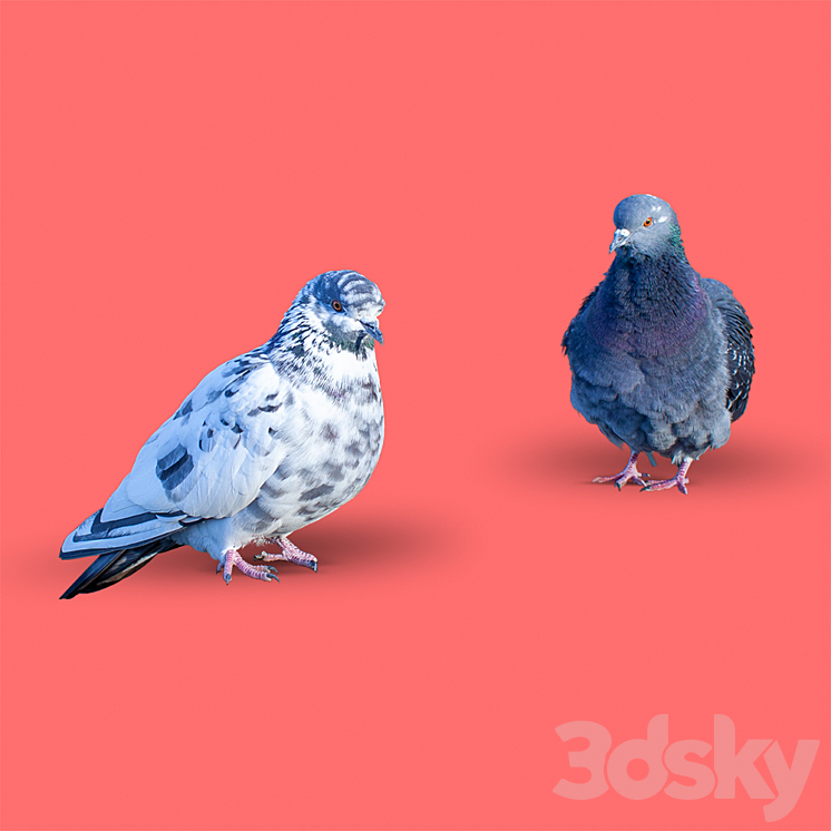 Set of 2d doves - Miscellaneous - 3D model