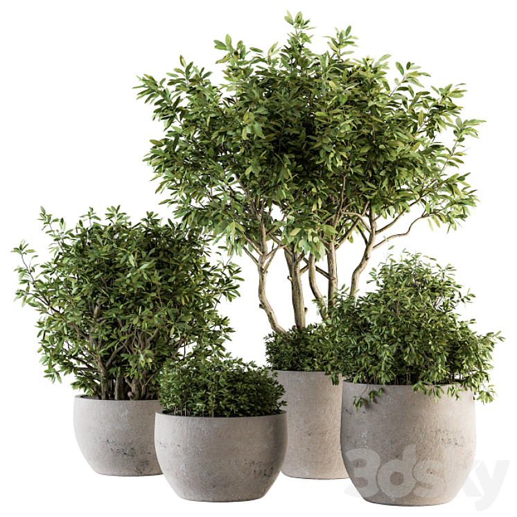 Outdoor Plants tree in Concrete Pot - Set 128 3D Model - 3DSKY Decor Helper