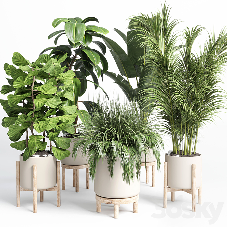 [3DSKY] Collection Indoor Plant 73 Pot Grass Palm Plant Wood Vase Pot ...