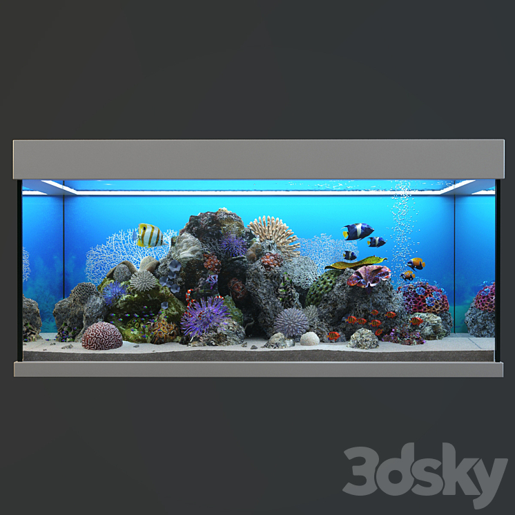 [3DSKY] Marine Aquarium 3D Model | NEW UPDATE 2023