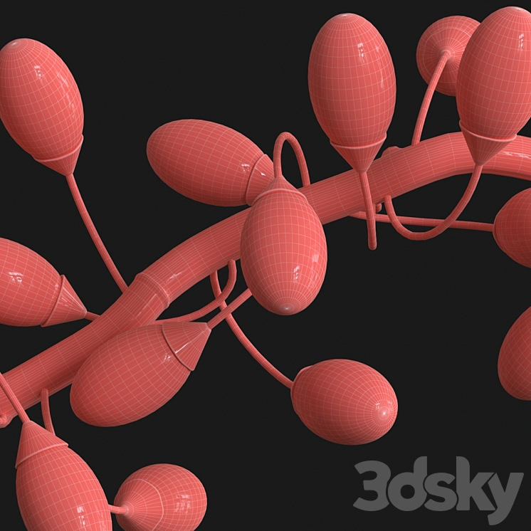 Lotus by Serip - Pendant light - 3D model