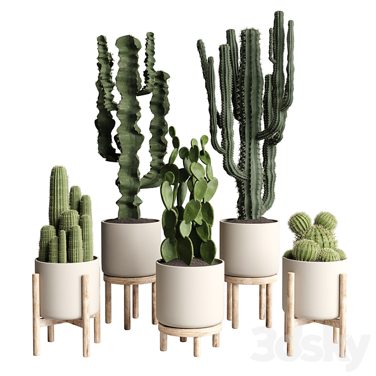 cactus pot collection indoor plant 186 wood vase 3D Model Free Download ...