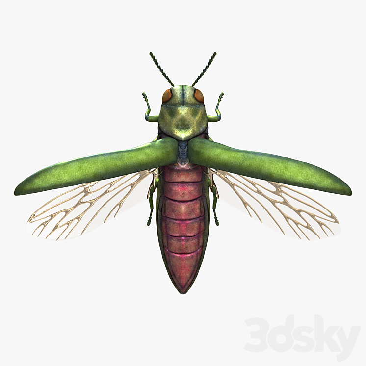 Beetle Emerald Ash Borer - Creature - 3D model