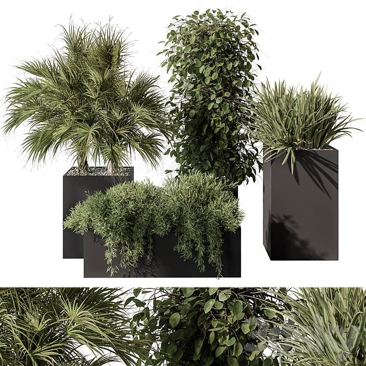 Outdoor Plant Set 402 - Plant Set in Plant Box 3D Model Free Download ...