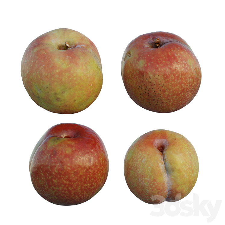 Plum 02 - Food and drinks - 3D model