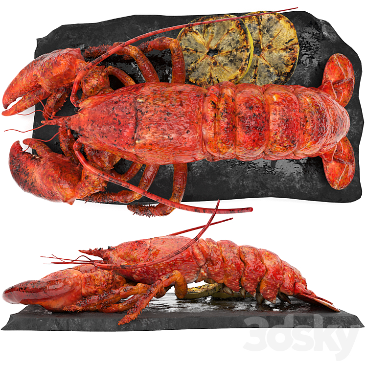 lobster set - Food and drinks - 3D model