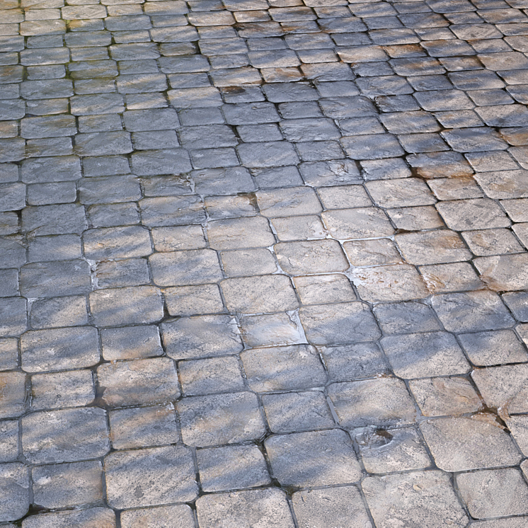 Mrf Wet Pavement Set05 - Paving - 3D model