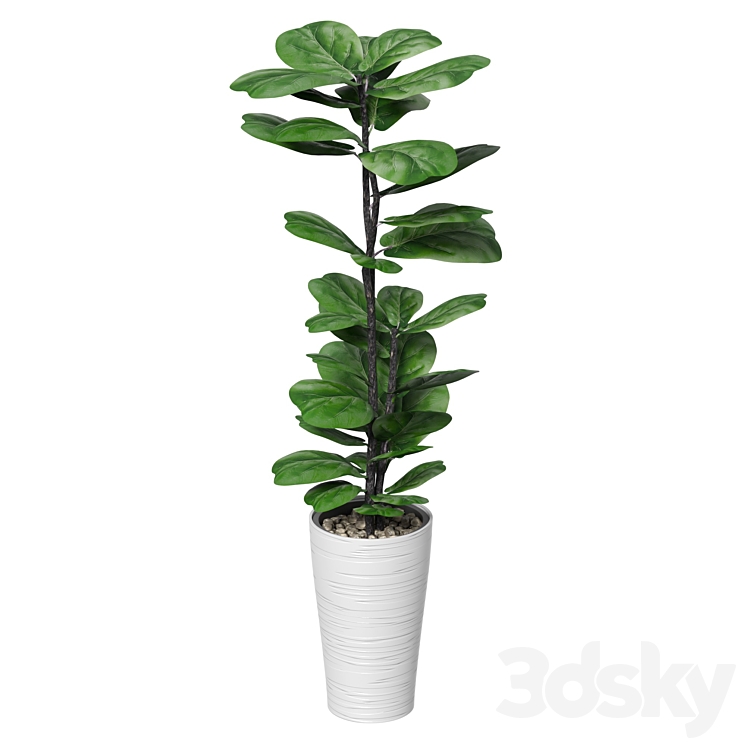 Indor plant 003 - Indoor - 3D model