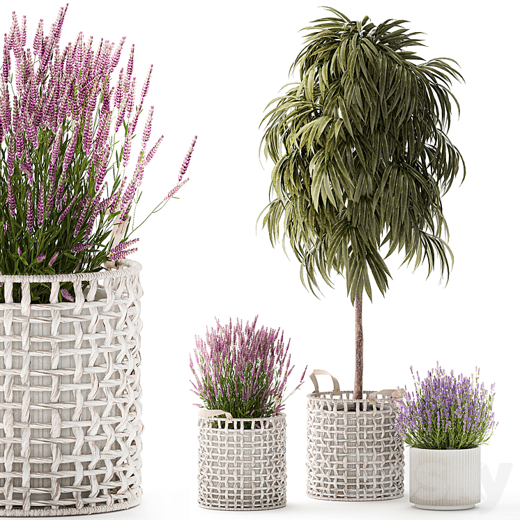 A collection of plants in modern wicker white baskets pots with a small ...