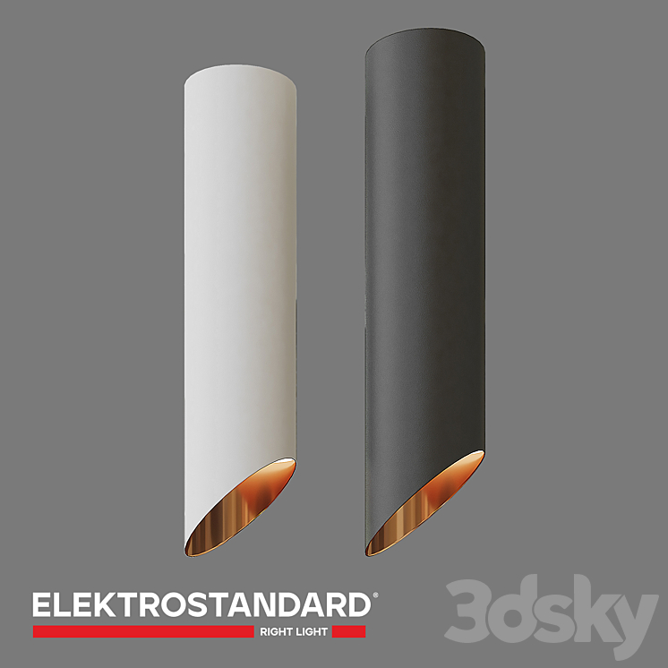 OM Ceiling accent light Elektrostandard DLN115 GU10 - Ceiling lamp - 3D ...