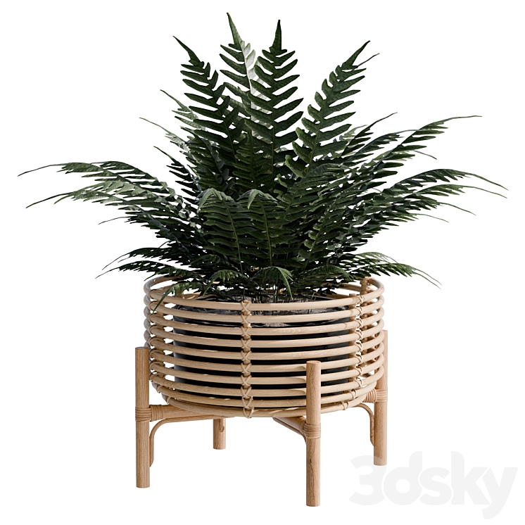 Low Wide Adobe Rattan Planters - Indoor - 3D model