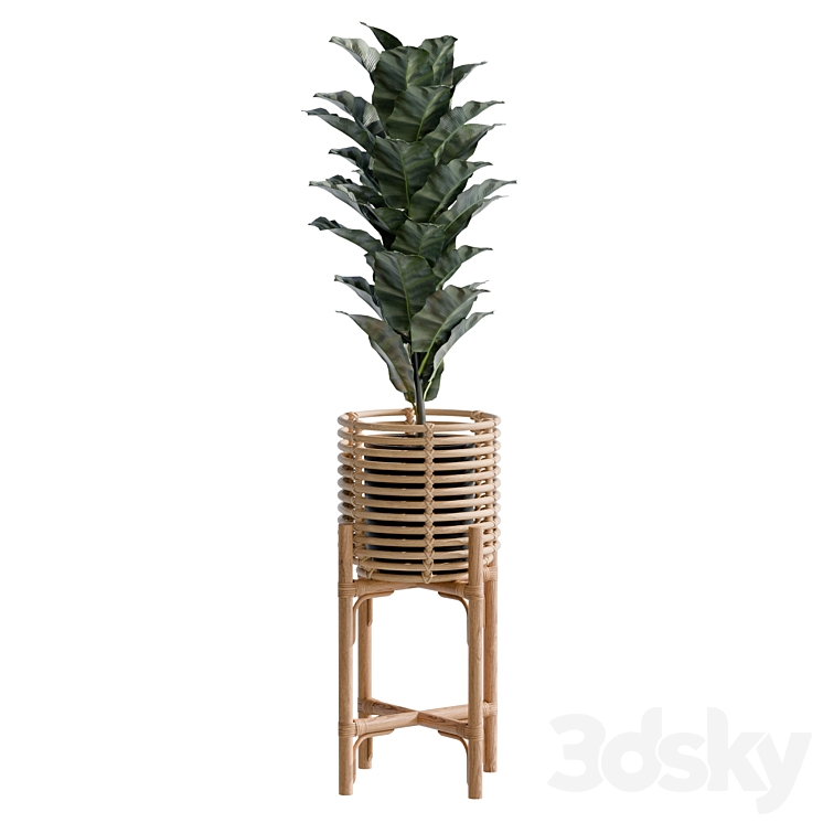 Large Adobe Rattan Planters - Indoor - 3D model