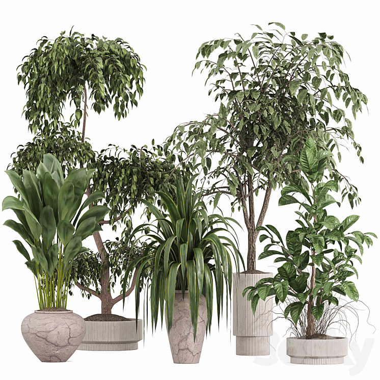 indoor plants set 055 - Indoor - 3D model
