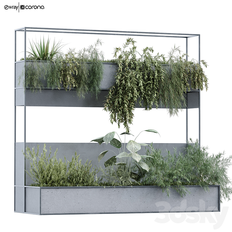 verticalplant in box greenwall and partition set 361 - Outdoor - 3D model