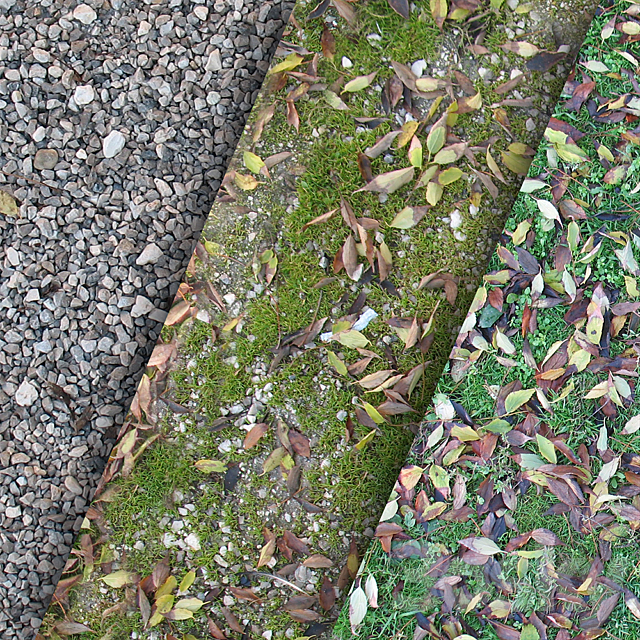 Small Ground Pack 3D Max - 3DMAXTER