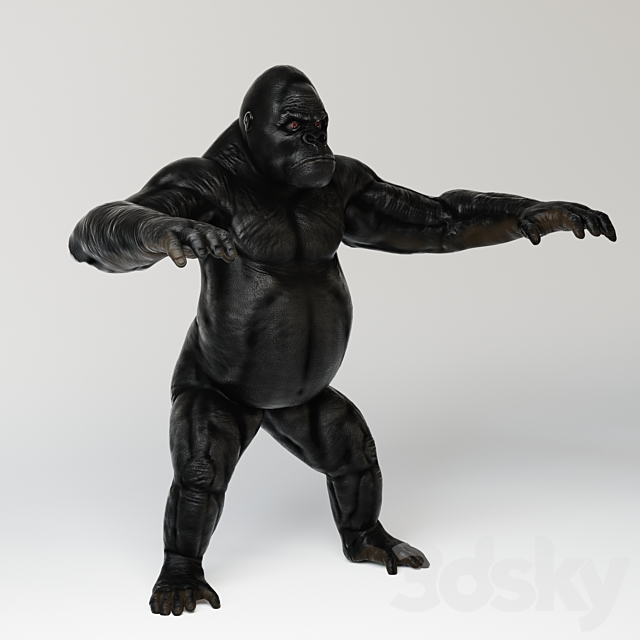 gorilla hdri
