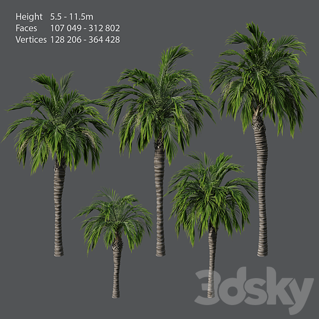Set of palm trees 3D Max - 3DMAXTER