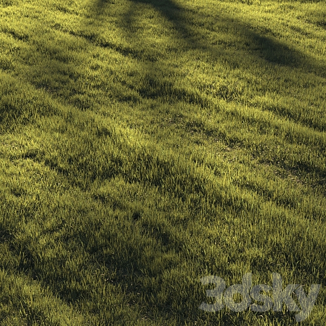 Grass | lawn 3D Max - 3DMAXTER