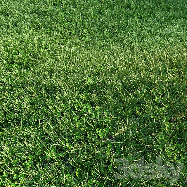 Grass 3D Max - 3DMAXTER
