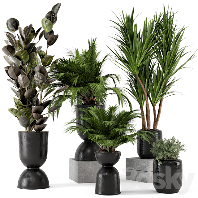 [3DSKY] Indoor Plants In Ferm Living Bau Pot Large - Set 226 3DModel ...