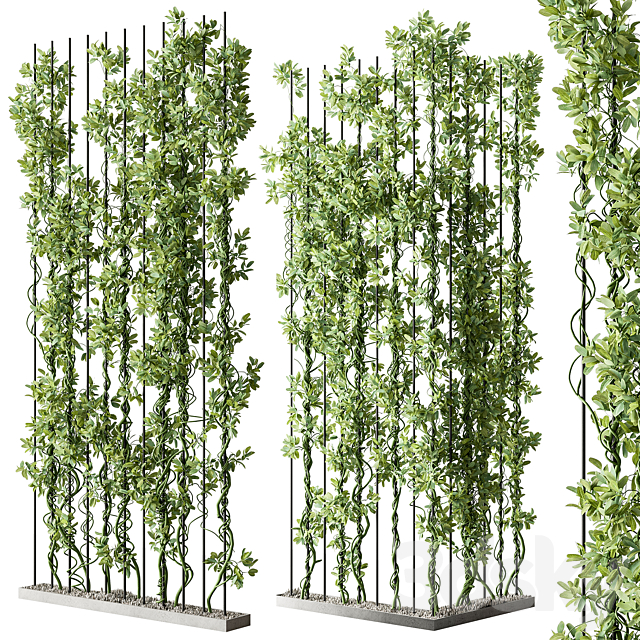 Vertical Garden Partiton - Set 111 - No.2 3D Max - 3DMAXTER
